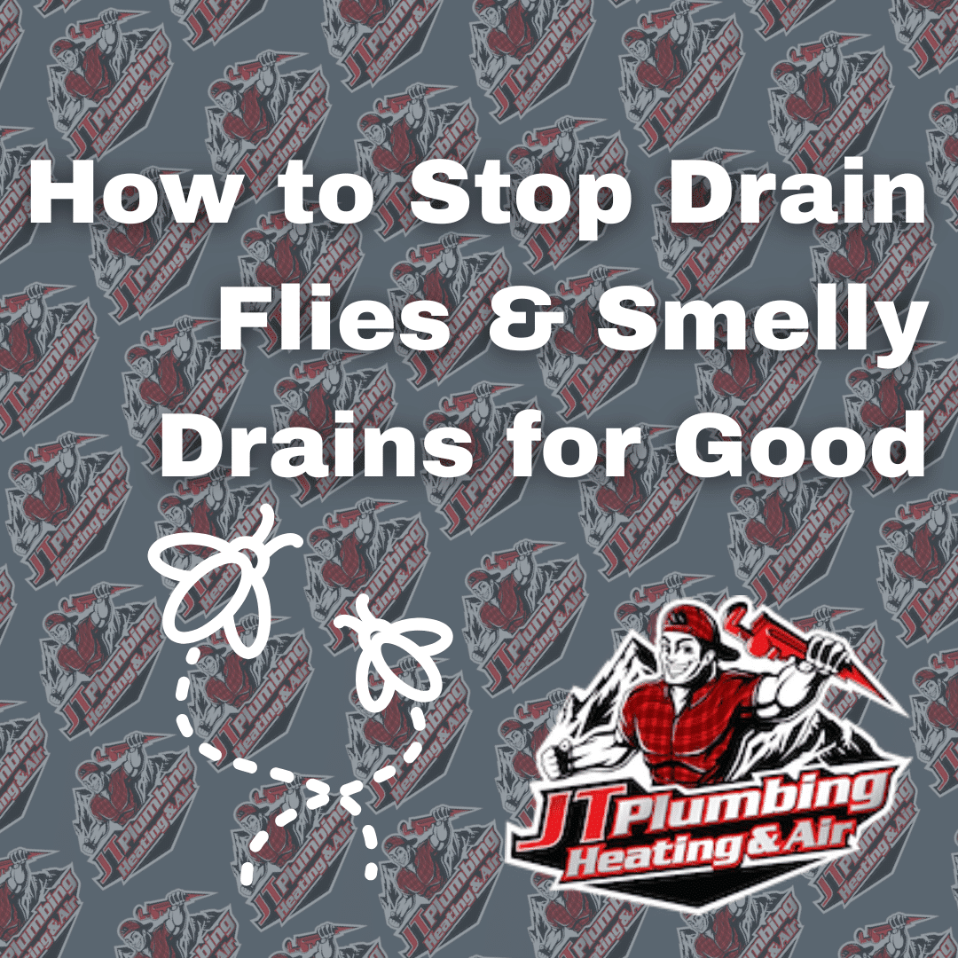 How to Stop Drain Flies & Smelly Drains for Good | JT Plumbing Heating ...